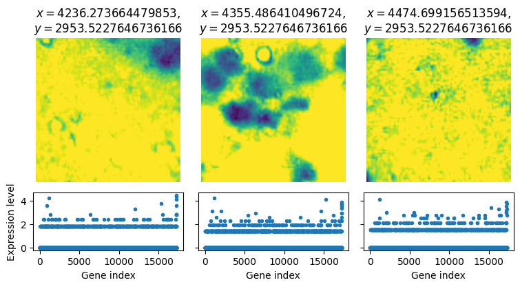 Image-based Gene Expression Modeling with CLIP Embeddings — cebmf_torch ...